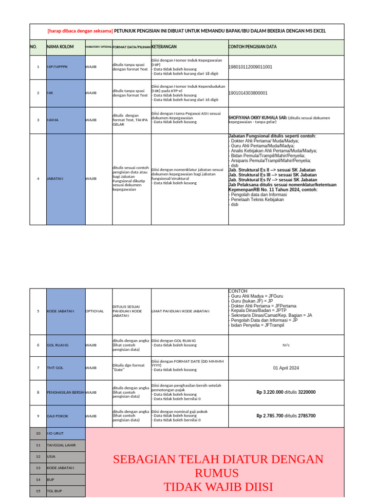 Format Isian Pemutakhiran Data Pegawai Asn Peserta Tapera Versi 5 | PDF