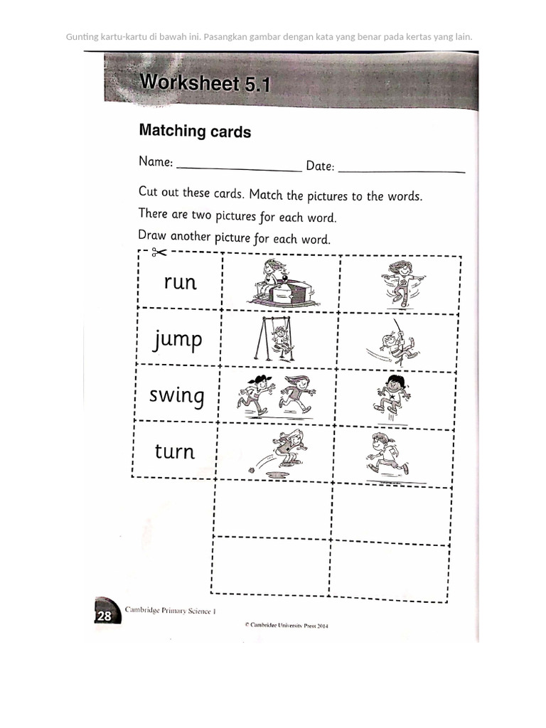 Worksheets Science | PDF