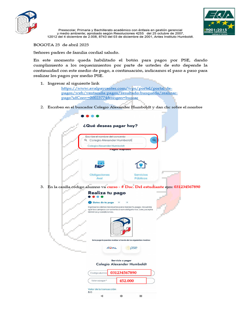 Instructivo Pago Pse | PDF