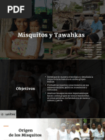 Historia y cultura de los misquitos | PDF | Honduras