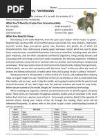 Dissection of The Rat | PDF | Aorta | Large Intestine