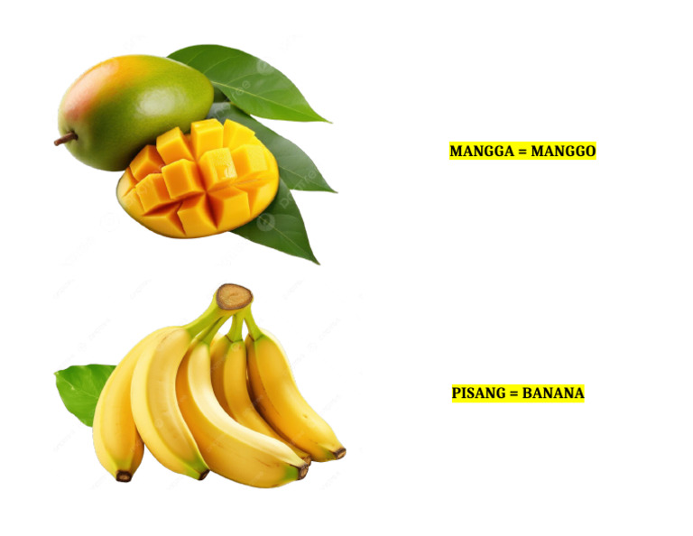 MANGGA | PDF