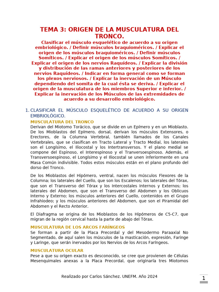Tema 3 - Sistema Locomotor | PDF | Médula espinal | Sistema nervioso