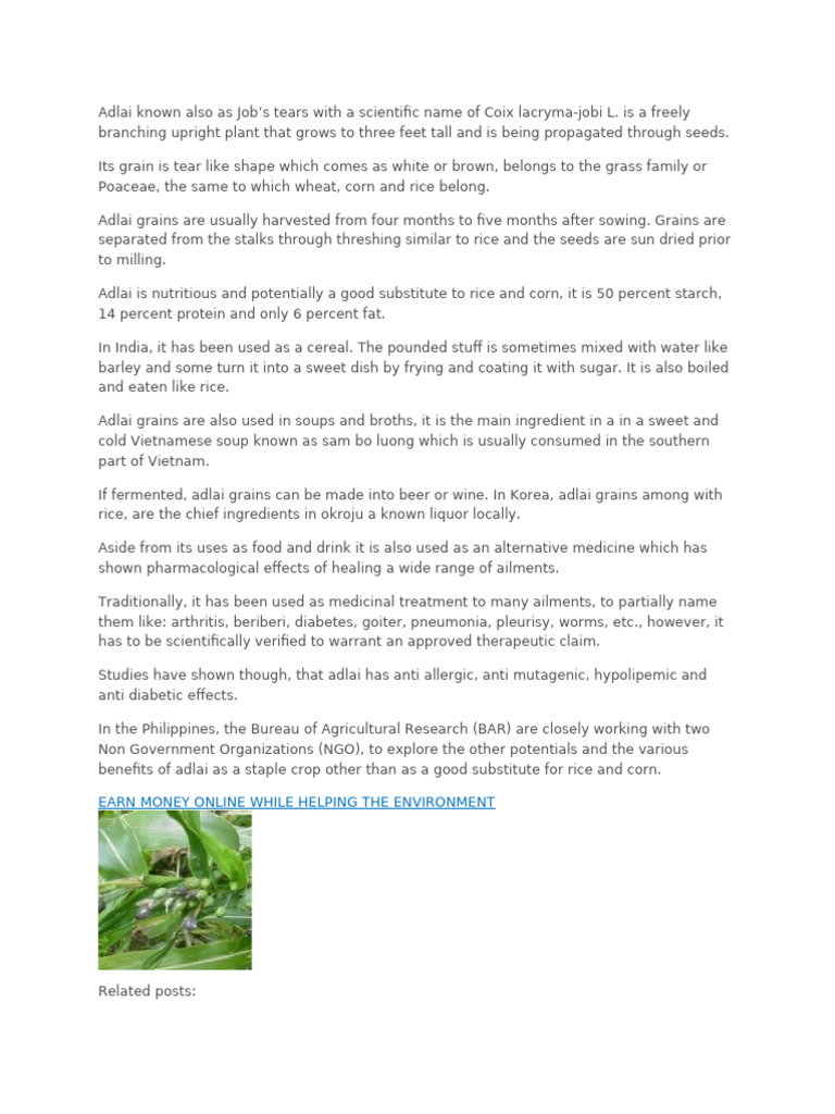 Health Benefits of Adlai Rice | PDF