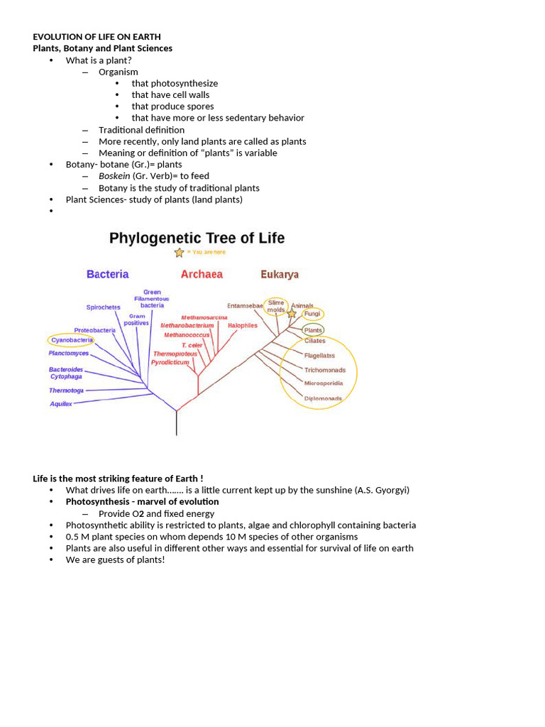 Evolution of Life On Earth | PDF