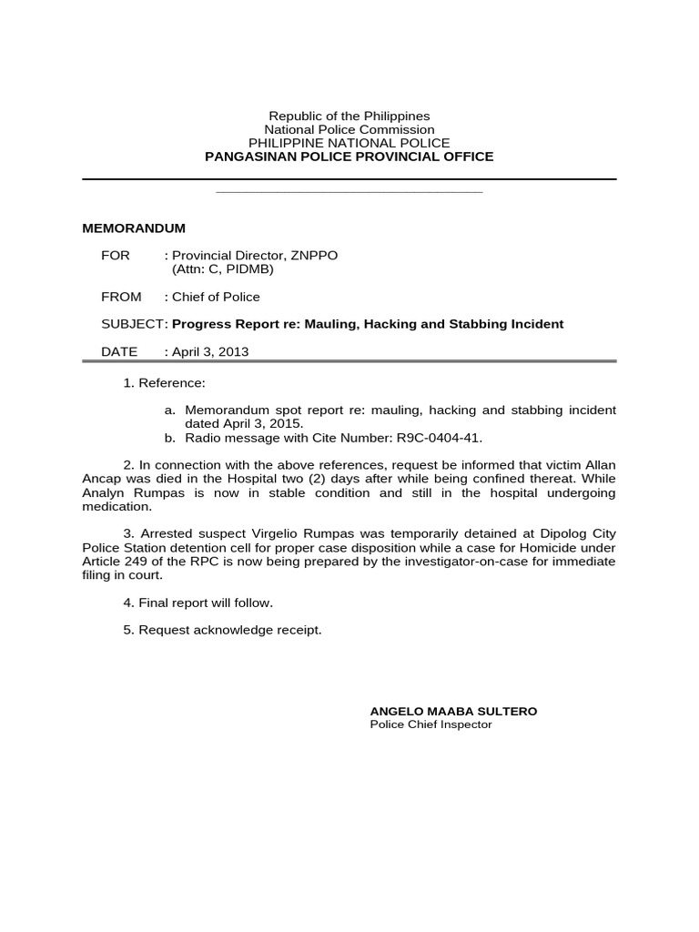 Spot Report Progress Report and Final Report | PDF