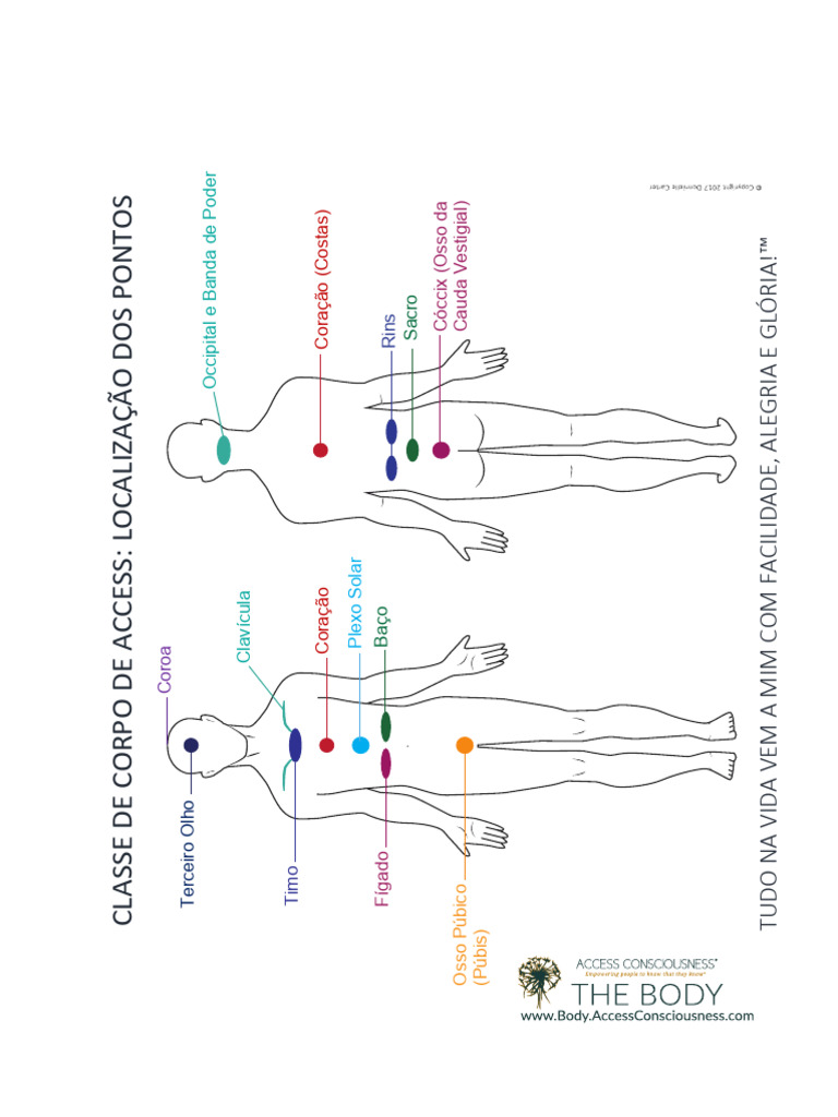Portuguese - Body Diagram Us | PDF