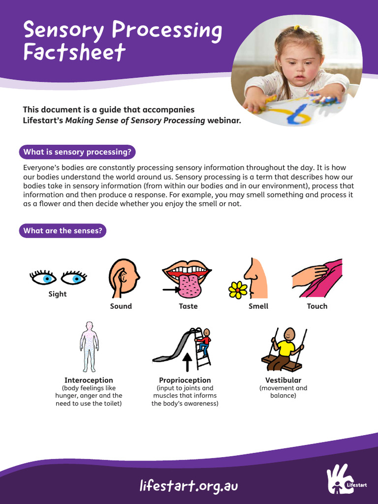 Sensory ProcessiSensory Processingng Factsheet | PDF | Senses | Perception