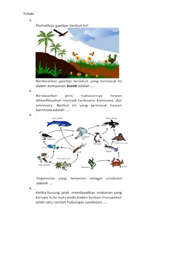 Tugas IPA Ekologi | PDF