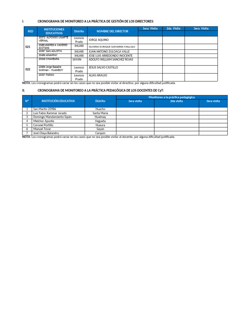 Cronograma de Monitoreo 2025. Irma | PDF