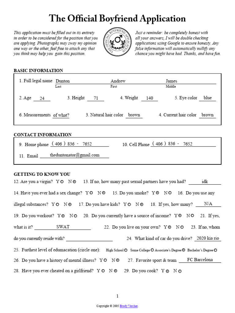 Official Boyfriend Application Form | PDF