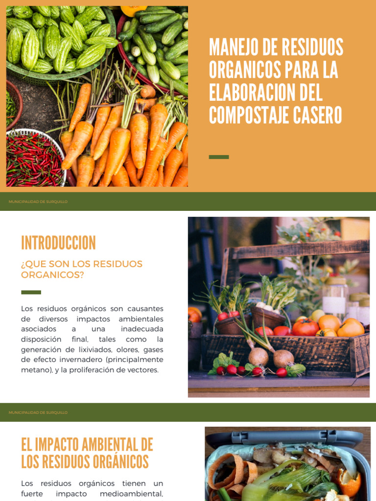 Manejo de Residuos Organicos para La Elaboracion Del Compostaje Casero | PDF | Residuos | Compost