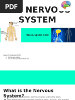 Science-Reviewer-3rd-Quarter For Grade 10 Biology | PDF | Motor Neuron ...