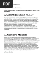 Anatomi Maxilla dan Mandibula | PDF