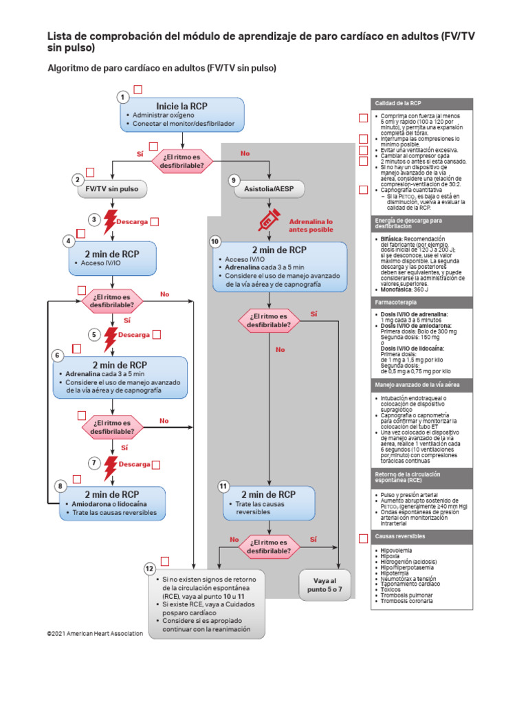 Algoritmos Paro y Arritmias ACLS 2020 | PDF | Reanimación cardiopulmonar | Sistema cardiovascular