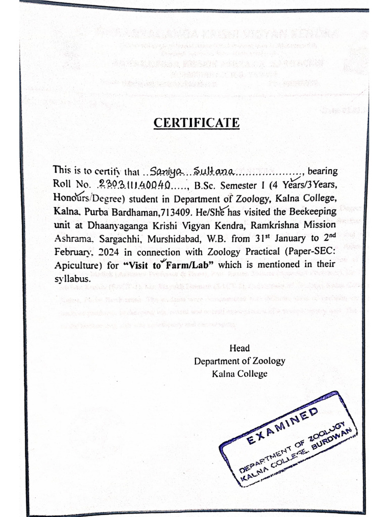 Certificate Practical | PDF