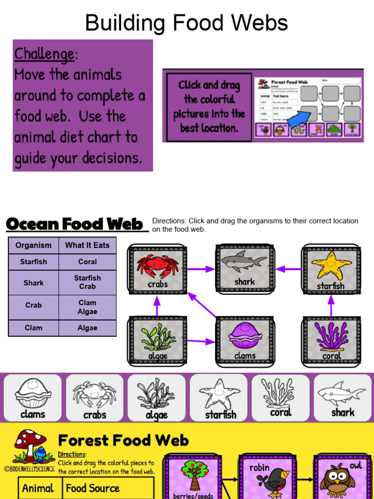Building Food Webs 1945 | PDF