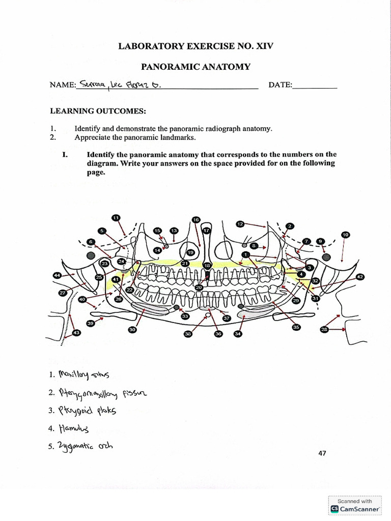 Lab. Exercise No. Xiv | PDF