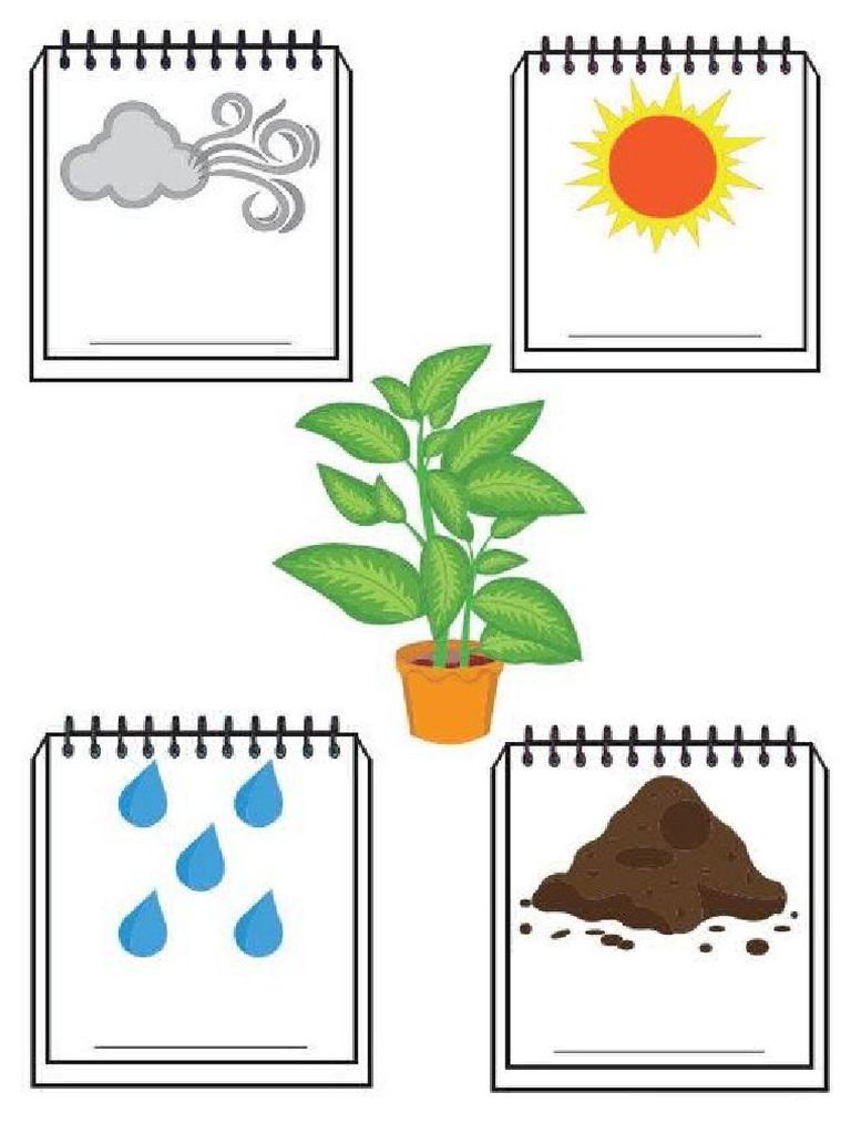 Afiche Qué Necesitan Las Plantas para Vivir | PDF