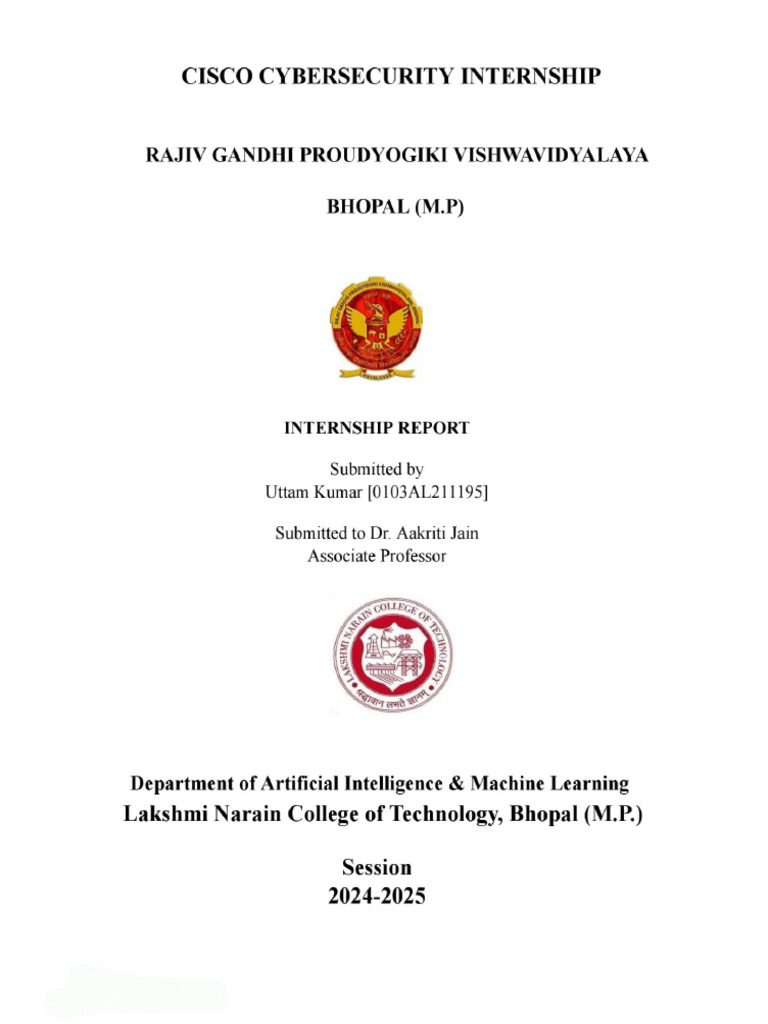 Internship Report | PDF