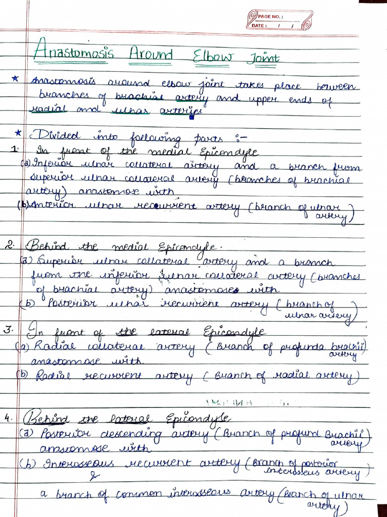 Upper Limb Part 2 Combined | PDF