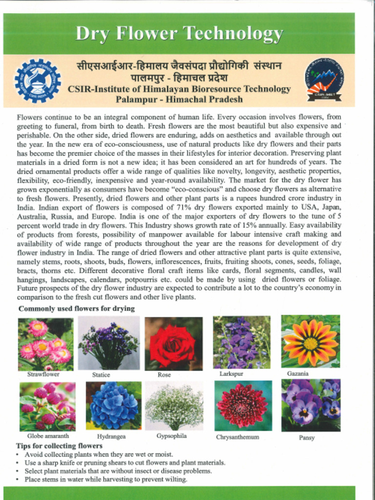 Dry Flower | PDF