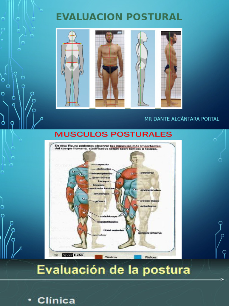 Evaluación Postural y Pruebas Clínicas | PDF | La columna vertebral | Pie