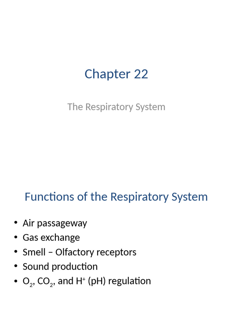 Ch22 Lec - Respiratory | PDF | Respiratory Tract | Lung