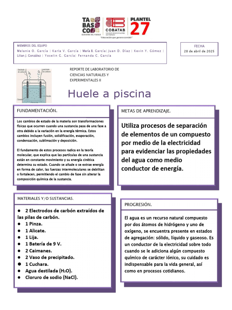 Electrólisis del Agua: Experimento y Resultados | PDF | Redox ...