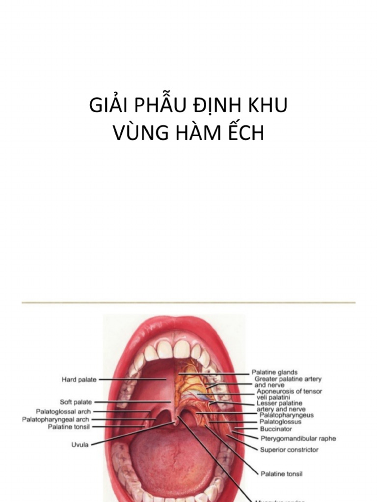 LEC 4.2. GP Vung Vom Mieng | PDF