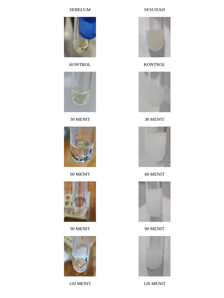 Hasil K2 Tablet KI | PDF