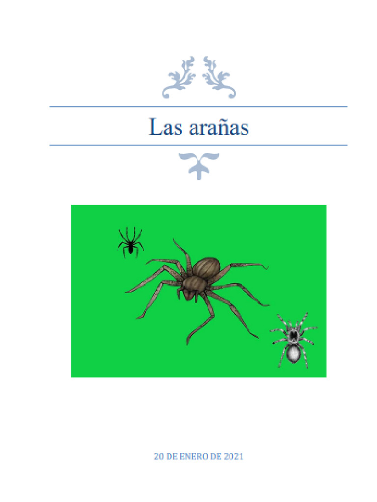 Las Arañas | PDF | Araña