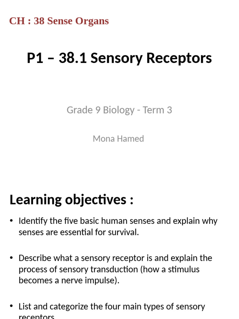 Sensory - Receptors - and - Chemical - Senses - Grade9 Term3 | PDF | Taste | Senses