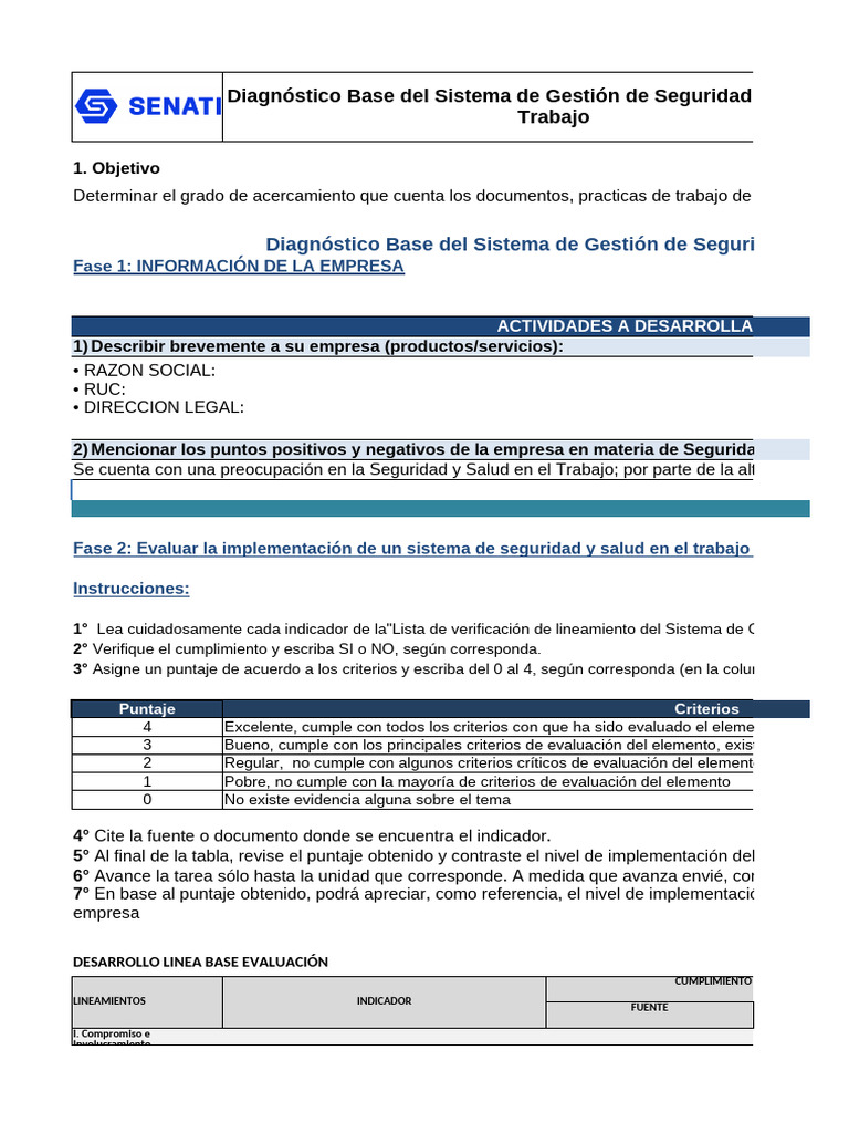 Estudio de Línea Base de SST - XLSX FRANK WONG - XLSX ACTUALIZADO | PDF | Auditoría | Seguridad ...
