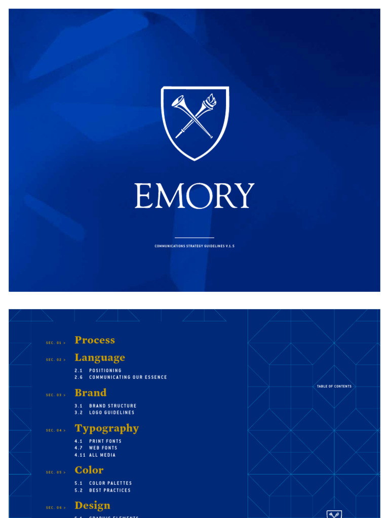 Emory Communication Strategy | PDF | Autism
