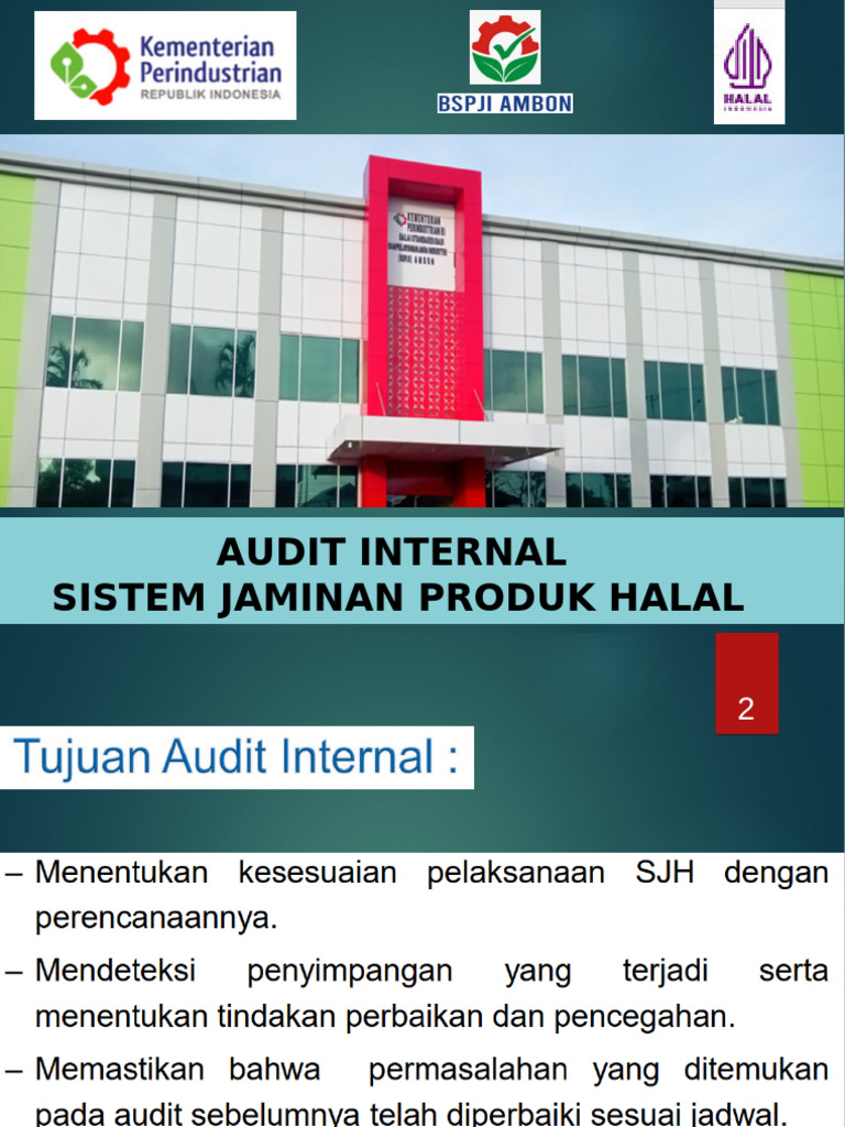 Audit Internal SJPH | PDF