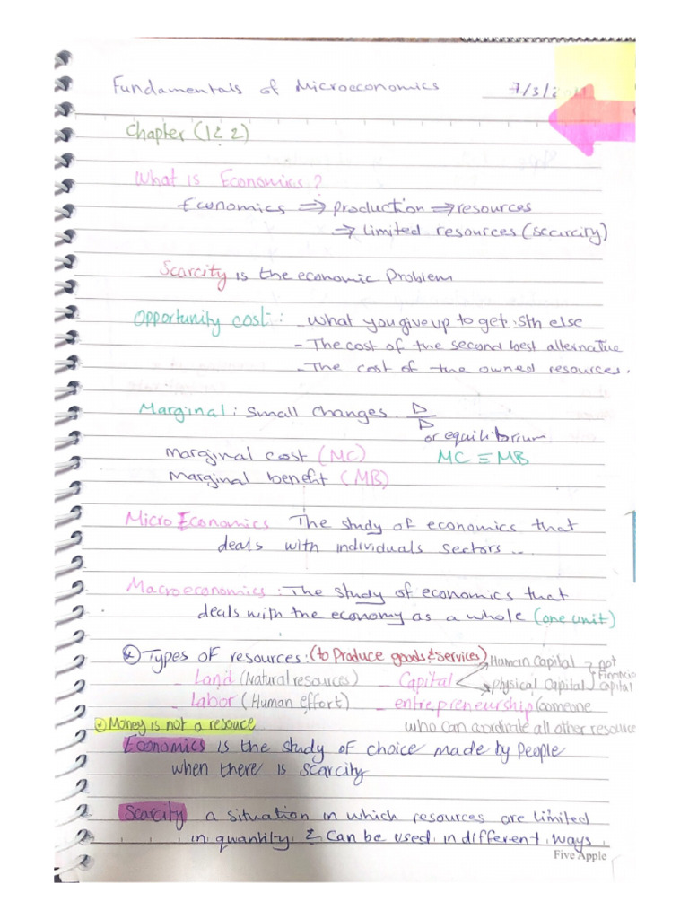 Microeconomics Notes | PDF