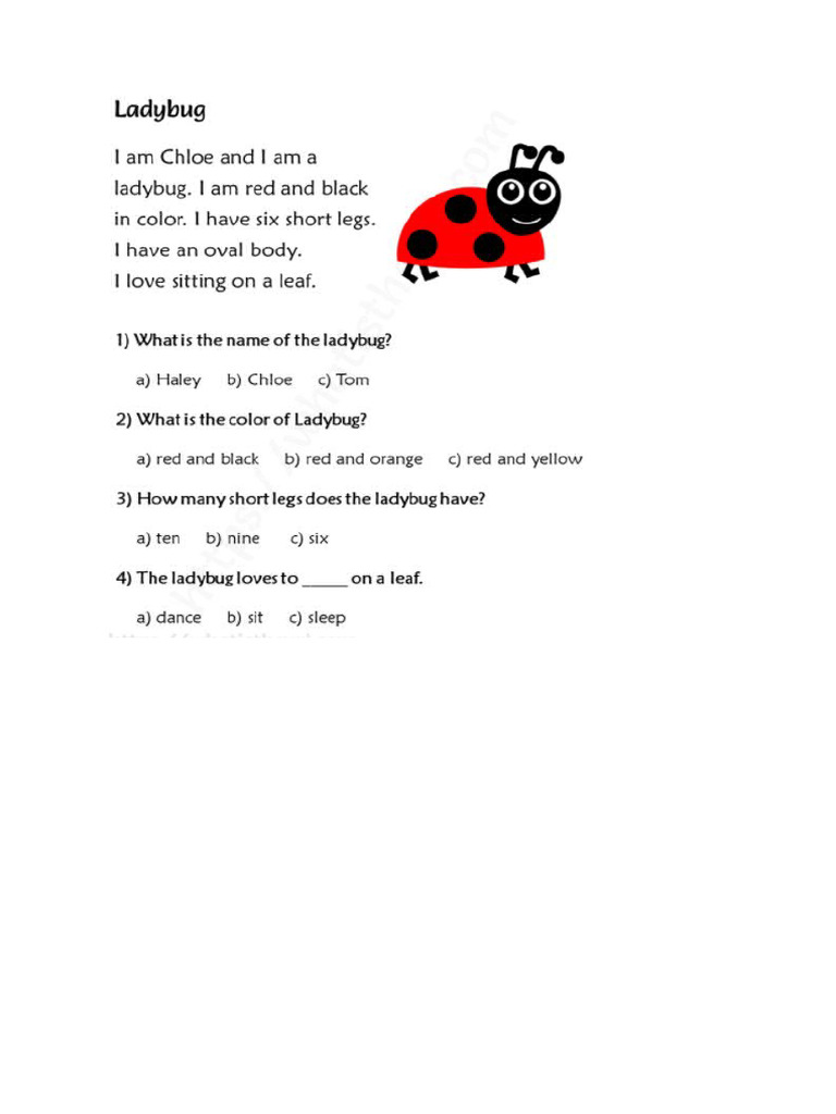 Ladybug | PDF