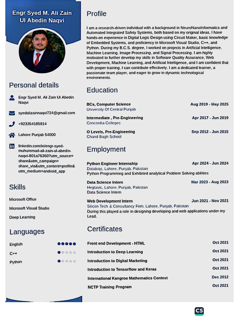 Professional Resume | PDF