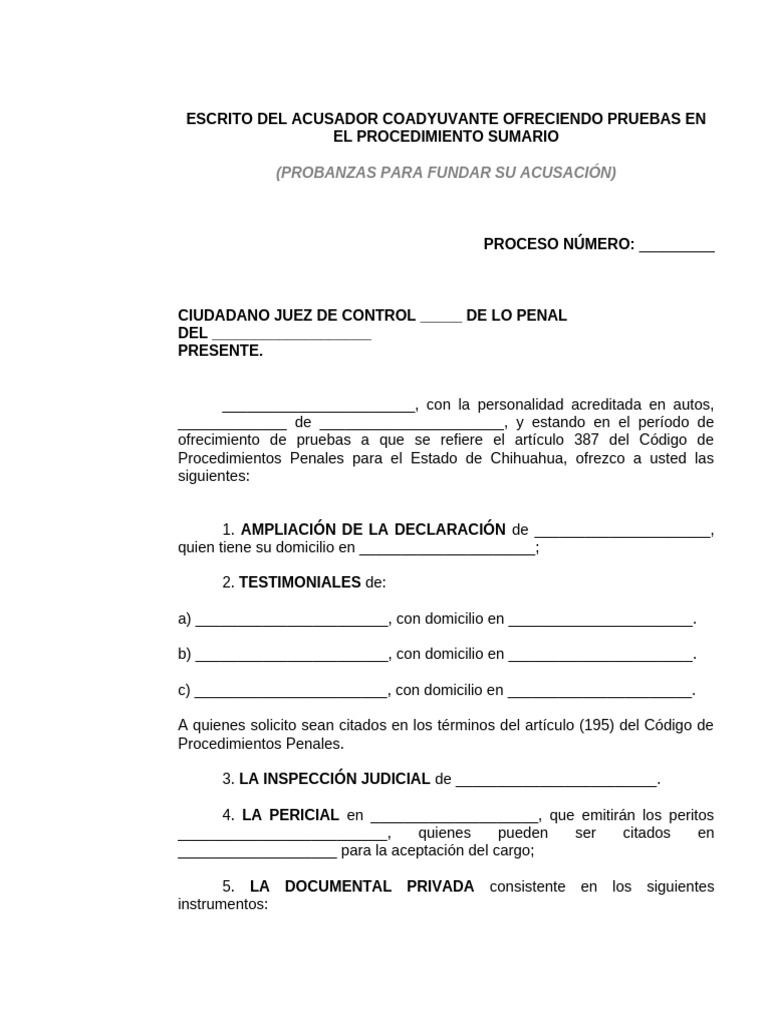 Escrito Del Acusador Coadyuvante Ofreciendo Pruebas en El Procedimiento ...