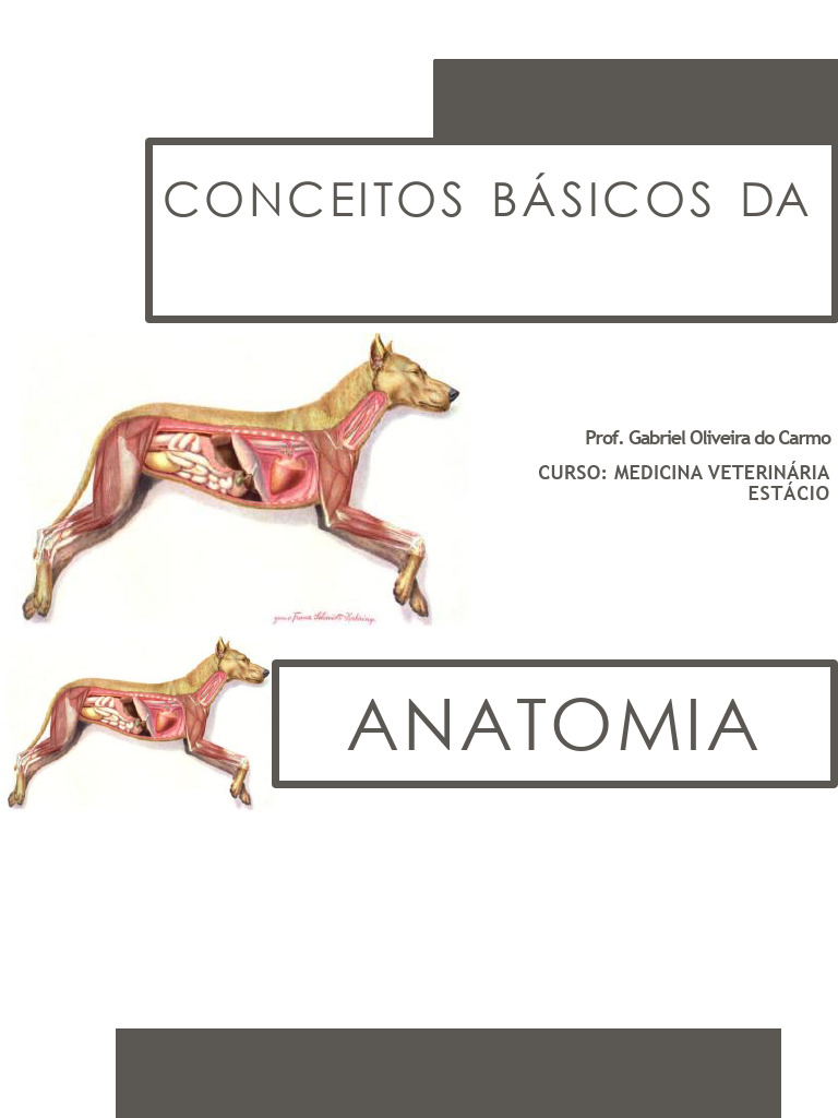 Conceitos Básicos Anatomia - Aula I | PDF | Anatomia | Corpo humano