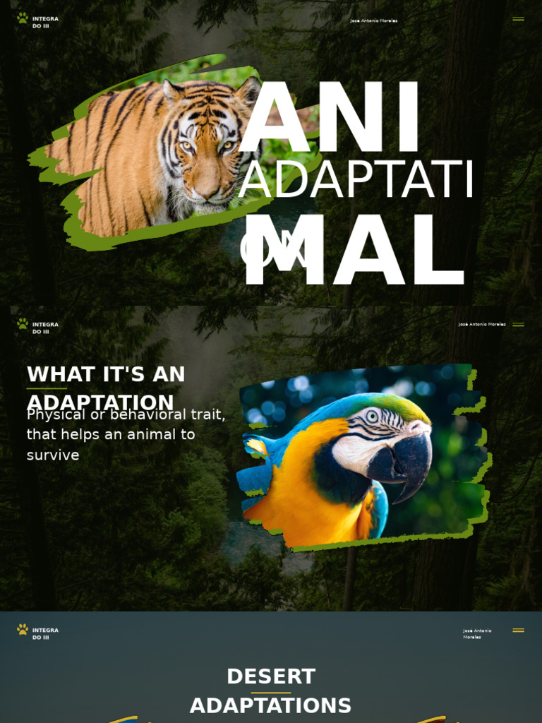 Animal Adaptation - 20250425 - 100516 - 0000 | PDF