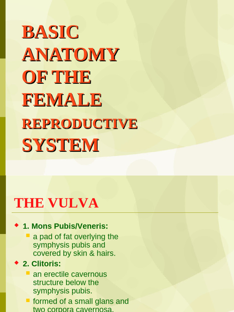 Anatomy of the Female Vulva and Vagina | PDF | Labia | Uterus