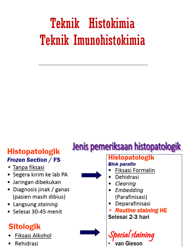 3 Histokimia & Imunohistokimia 2511 | PDF | Histology | Staining