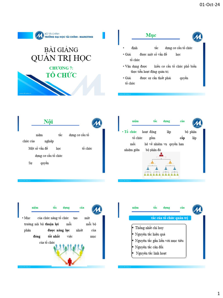UFM - QTH 2024 - CHƯƠNG 7 - T CH C - C. Siêm | PDF