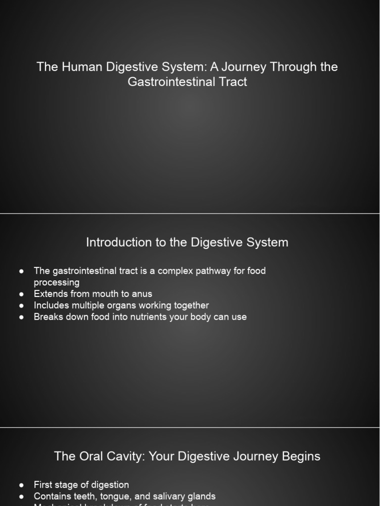 The Human Digestive System - A Journey Through The Gastrointestinal ...