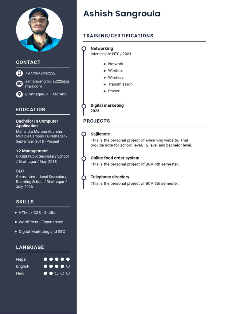 Ashish Sangroula CV | PDF