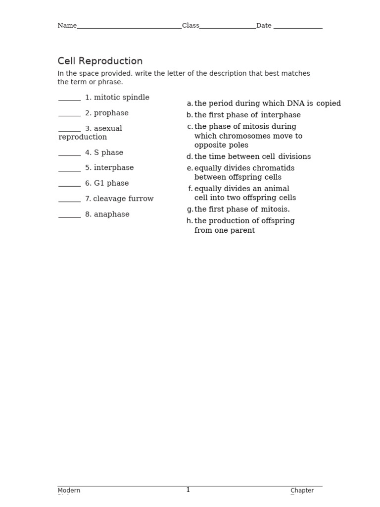 Cell Reproduction: Mitotic Spindle Prophase Asexual Reproduction S ...