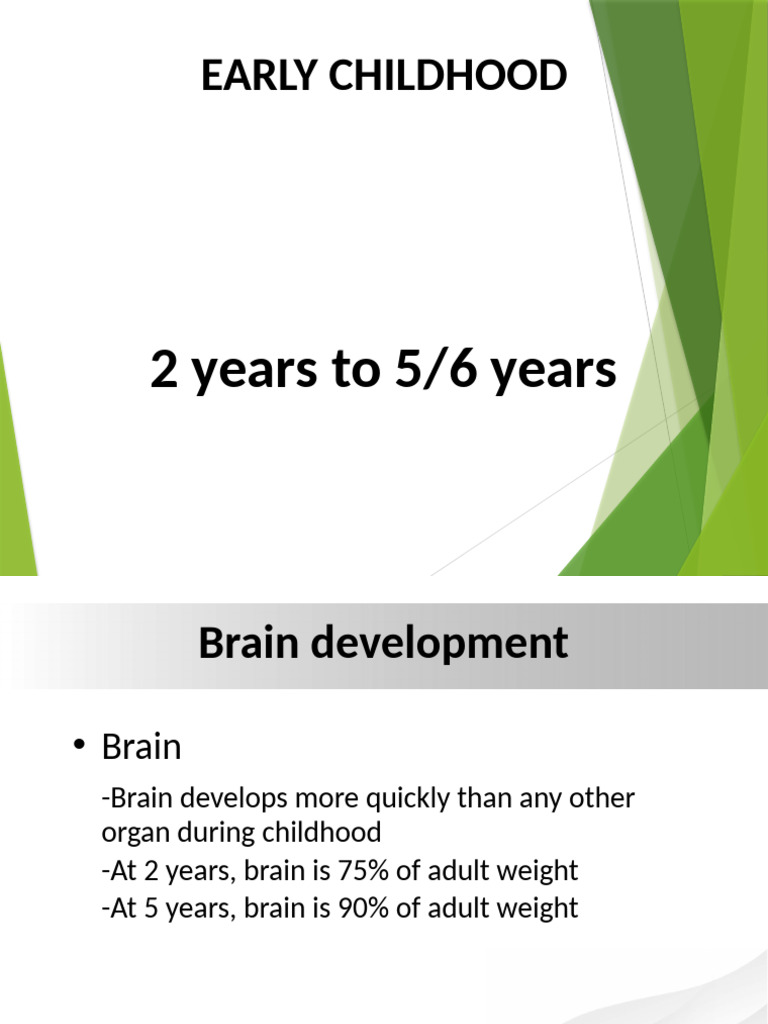 Lesson 2 Early Childhood | PDF | Schema (Psychology) | Psychology