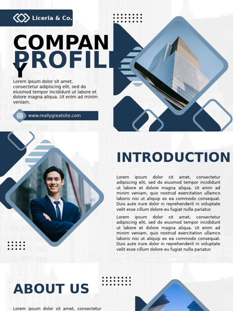Blue and White Modern Company Profile Presentation | PDF